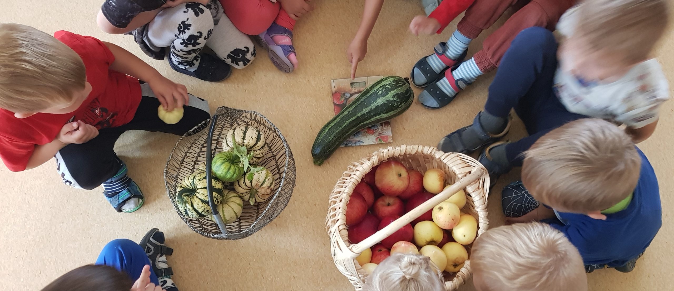 Viskas apie vaisius ir daržoves - Utenavsb